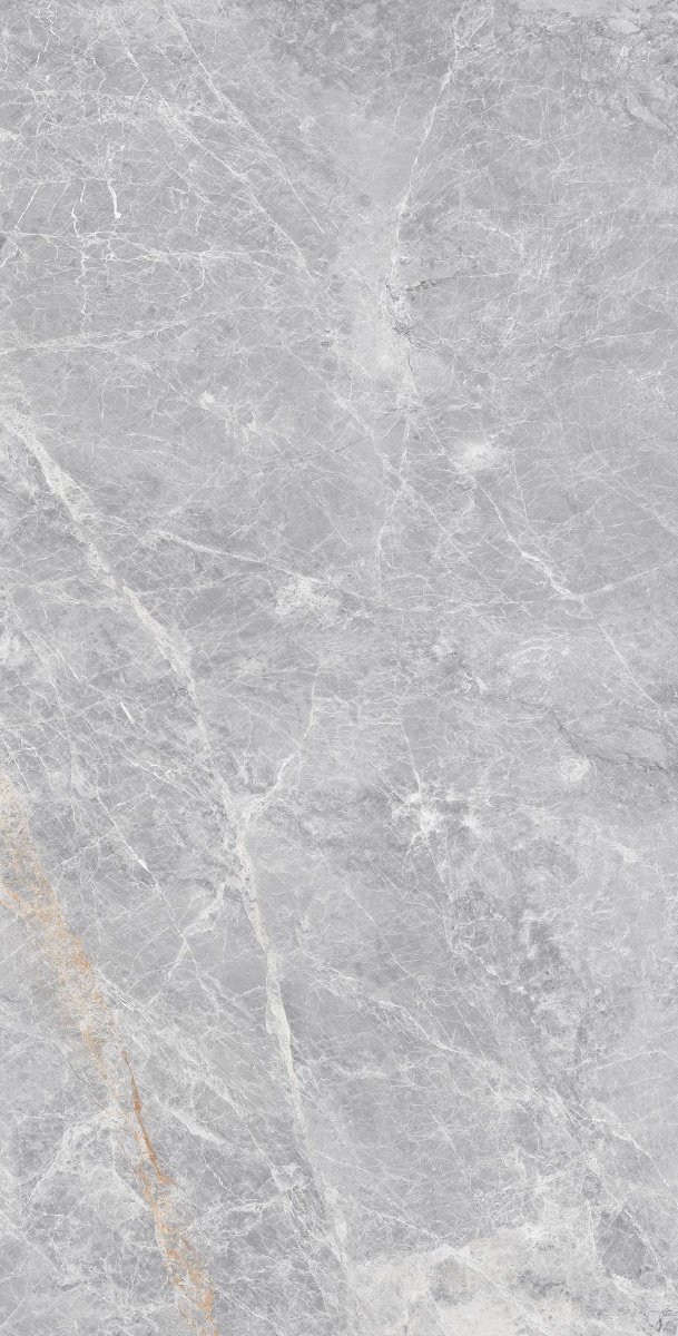 Elenza Silver Marble Slab